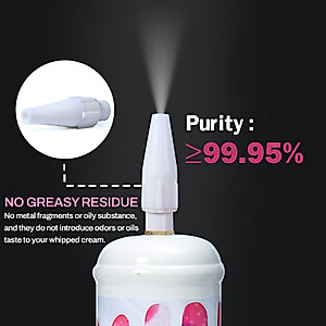 Cream Charger Tanks Sturdy Base Steel Whipped Cream Dispensers 0.95L 615Gram Whipped Cream Canisters with1 nozzle (Rainbow Candy-1 Cylinder)