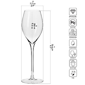 Krosno Large Prosecco Champagne Sparkling Wine Flutes, Set of 6, 9.4 fl oz, Rounded Shape for Ideal Bubbles, Dishwasher Safe, Made in Europe