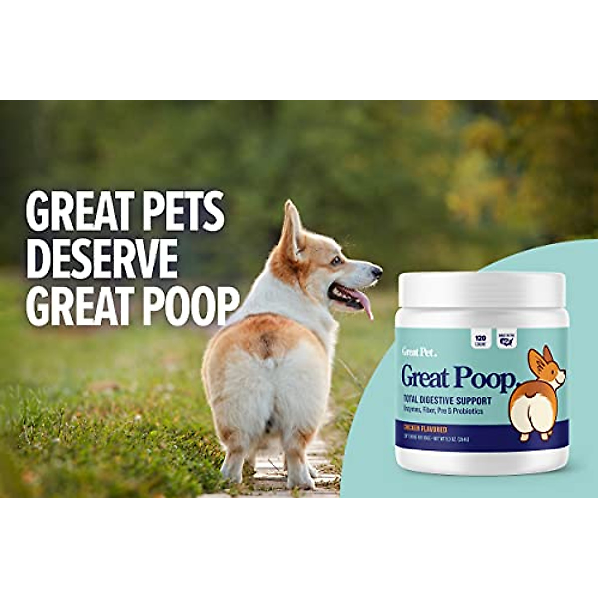 Great Poop Probiotics for Dogs - A Fiber for Dogs Supplement with Dog Probiotics and Digestive Enzymes for a Healthy Gut, Firm Stool & Diarrhea Relief - Chicken Flavored Pet Soft Chews with Prebiotics
