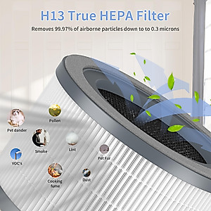 XBWW 2 Packs Vista 200 Replacement Filters Compatible with Levoit Vista 200 Air Cleaner Purifier with H13 True HEPA, Activated Carbon Filter and Nylon Pre-Filter, Part # Vista 200-RF