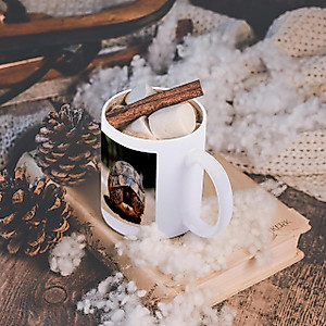 3dRose Land Turtle Shell Young Spur-Thighed Tortoise Hiding In Carapace Ceramic Mug, 11 oz, White