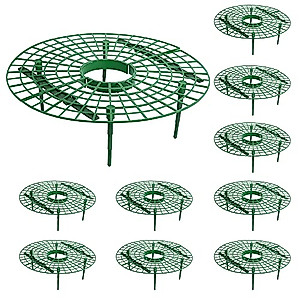 Iceyyyy 10 Pack Strawberry Plant Support - Strawberry Growing Racks - Strawberry Growing Frame for Keeping Garden Strawberry Clean (10, A)