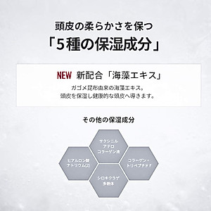 Angfa Scalp D Medicinal Shampoo for Men Dry skin set (Shampoo & Conditioner) 350ml Japan