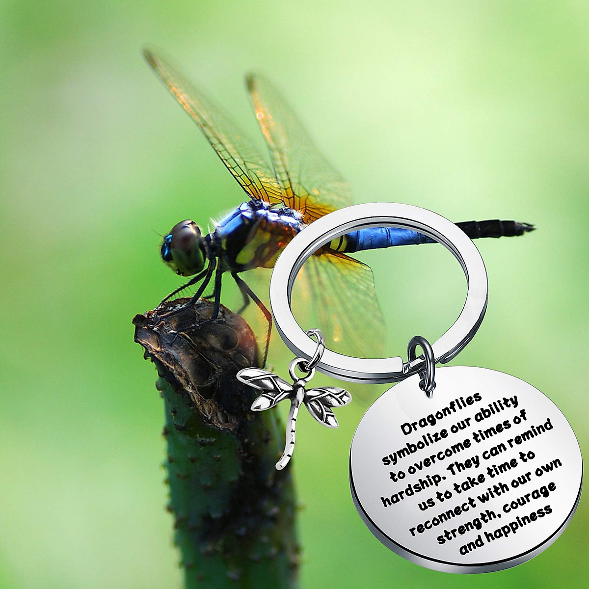 ENSIANTH Dragonfly Keychain Dragonfly Lover Gift Inspiration Gift for Friend Encouragement Gift (Dragonflies Symbolize)