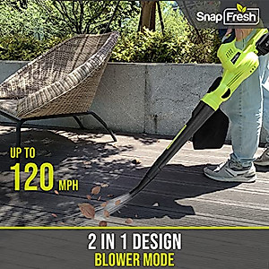 Cordless Blower & Vacuum - SnapFresh 2 in 1 Electric Blower with 4.0Ah Lithium Battery & 2h Fast Charger, 20V Handheld Vacuum Sweeper with Bag for Small Trash, Car, Dust, Pet Hair, Corner Cleaning