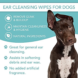 VET-VIRTUE Fragrance Free Ear Wipes for Dogs