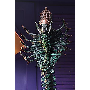 NECA - Aliens - 7" Scale Action Figure - Series 13 Snake