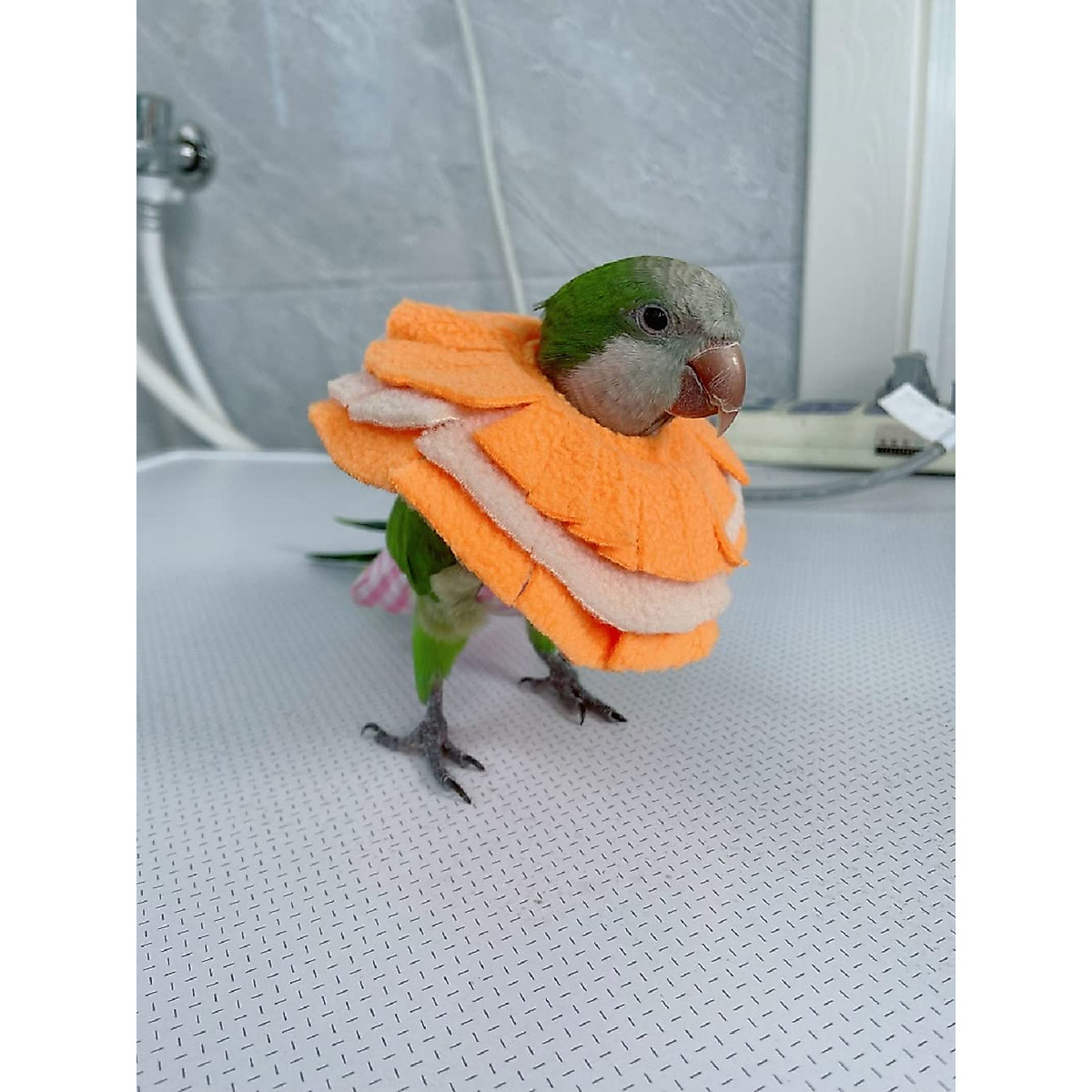 Adjustable Parrot Cone Collar, Safe and Practical Cotton Collar to Prevent Bites and Licking Wounds, to Help heal (4XL)
