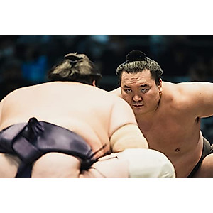 SWITCH SPECIAL ISSUE 白鵬翔 さざれ石の巌——大横綱の軌跡