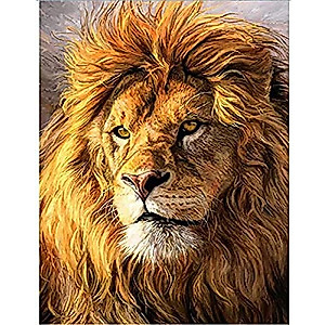 Eiialerm Stamped Cross-Stitch Kits Animal Lion 11CT Beginner Cross Stitch Pre-Printed Pattern Embroidery DIY Children's Adult Home Decoration 16x20 Inch