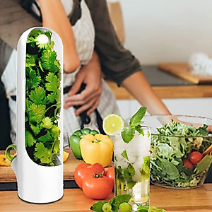 Herb Keeper, Cilantro Containers For Refrigerator, Herb Saver For Refrigerator, Herb Storage Container Glass, Keeps Greens Fresh for 2-3 Weeks, Herb Savor Pod for Cilantro, Mint, Parsley, Asparagus
