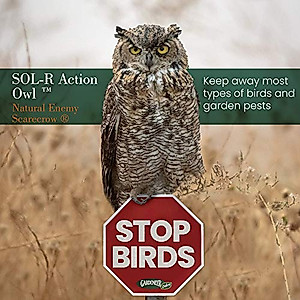 Dalen Fake Owl Decoy to Scare Birds Away from Gardens, Rooftops, and Patios - Scarecrow Provides Chemical-Free Pest Control - Safe and Humane, 18" 360º Rotating Head