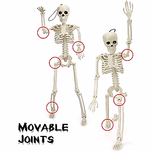 TOY Life 4 Pcs Halloween Hanging Skeleton Decoration, 16” Posable Skeleton Halloween Decoration, Full Body Posable Joints Skeletons, Halloween Decorations Outdoor Indoor, Plastic Skeleton