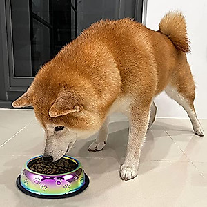 The Magical Kitchen Collection - Iridescent Rainbow Pet Bowl Set - Heavy Duty Stainless Steel Water & Feeder Bowls for Cats/Dogs with Non-Skid Rubber Base, 32 Oz. / 4 Cup Capacity Each (Set of 2)