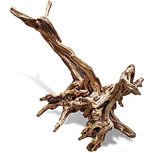 PINVNBY Large Driftwood for Aquarium Decorations Natural Assorted Branches Dearded Dragon Tank Accessories Terrarium Decor