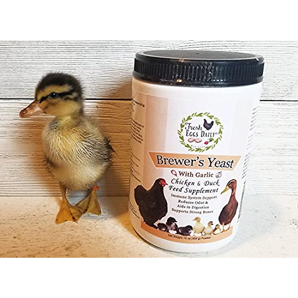Fresh Eggs Daily Brewer's Yeast with Garlic Powder and Niacin for Ducks Feed Supplement Vitamins for Backyard Chickens 1LB