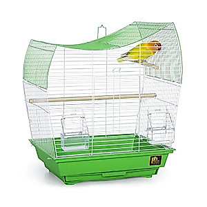 Prevue Pet Products South Beach Wave Top Bird Cage, Lime Green (SP50081)