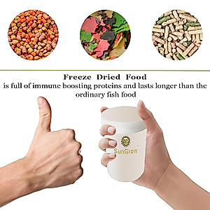 SunGrow Freeze Dried Bloodworms for Betta and Tropical Fish, 0.52 oz., High Protein Treat, Floating Food for Breeding Tanks