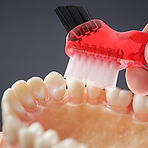 Milisten Toothbrush 4Pcs Mini Dual Head BrushesDouble-Head Denture Brushes False Teeth Brush Cleaning Brushes Personal Small Brushes Clean Toothbrush(7.5X3.5X2.5CM) Denture Brush Toothbrush