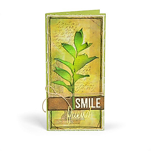 Sizzix - 664170 Large Stems Dies, One Size, Multicolor