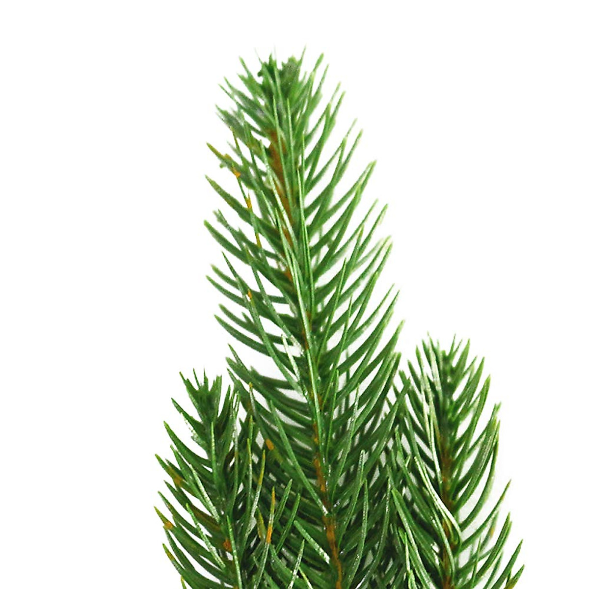 wonuu 25pcs Artificial Pine Green Leaves Needle Garland for Christmas Embellishing and Home Garden Decor, 11x4.7 Inches(Green-25 Pack)