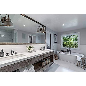 DIRYZON EUL Rustic Gooseneck Wall Sconce Outdoor/Indoor Farmhouse Porch Light 1-Light Barn Bedside Wall Light in Antique Copper Finish for Patio Front Door