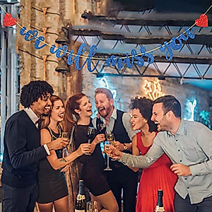 Dalaber We Will Miss You Banner for Retirement,Farewell Party,Going Away Party Decorations - Goodbye Themed Party Decoration Supplies - Blue