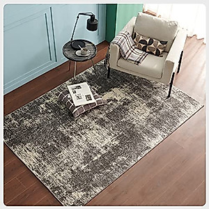 Eviva 5X7 Area Rugs for Living Room Polypropylene - Turkish Living Room Rugs Grey - 5x7 Area Rug for Bedroom W/Stain-Resistant - Grey Rugs for Living Room - Carpet for Bedroom - in Gray and White