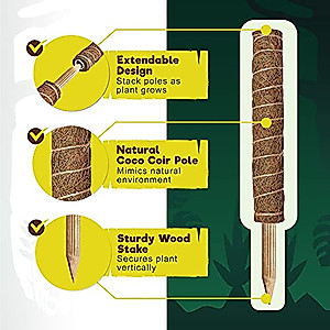 Totem Monkey Moss Pole for Plants Monstera - 47.8 Inch Coir Totem Plant Support - 4 x 15.7 Inch Coco Sticks for Climbing Indoor Potted Plants - 40 Paper Twist Ties - Train Creeper House Plants Grow