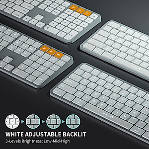 ProtoArc Backlit Bluetooth Keyboard for Mac, K100-A Ultra Slim Wireless Keyboard with Numeric Keypad, 3-Device Connection, Rechargeable for Mac Mini MacBook Pro, MacBook Air, iMac, iPad