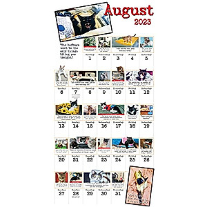 Bad Cat Wall Calendar 2023: Celebrating the Misfits of the Feline World