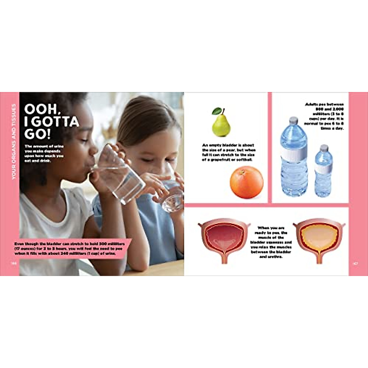 The Fascinating Human Body Book for Kids: 500 Phenomenal Facts! (Fascinating Facts)