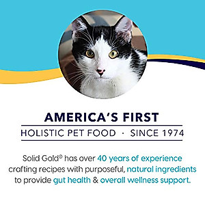 Solid Gold Wet Cat Food Pouches - Holistic Delights Creamy Bisque Lickable Cat Treats - Grain Free with Real Chicken in Coconut Puree for Your Kitten, Adult or Senior Cat - 24Ct/3oz Pouch