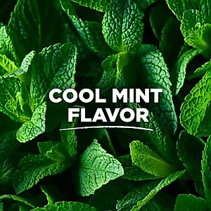 Tom's of Maine PureActiv Teeth + Gum Health* Anticavity Toothpaste Gel, Cool Mint, 4.0 oz.