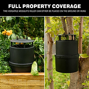 Catchmaster Oasis Ovi-Mini Mosquito Trap 4Pk, Home Outdoor Mosquito Control, Mosquito Killer Outdoor, Pet Safe Backyard Insect Killer, Glue Board Bug Catcher, Pool, Patio, Shed & Garden Pest Control