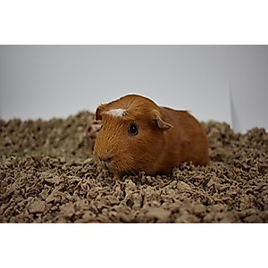 Healthy Pet HPCC Natural Bedding, 14-Liter