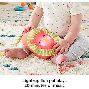 Fisher-Price Go Wild Gym & Giraffe Wedge, infant activity gym with large playmat, musical -toy and tummy time support wedge for babies [Amazon Exclusive]