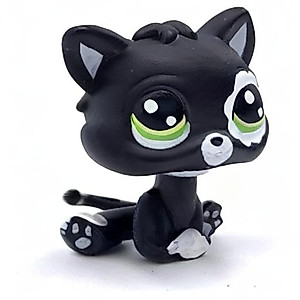 PSCB Custom-Made Baby for Short Hair Cat #2249 Black Body White Flower Eyes Bobble Head 1 Inch Kitty Mini Pet Toys