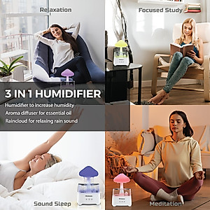 Rain Cloud Humidifier Water Drip, 2X Cool Mist Rate Ultrasonic Aromatherapy Diffuser by Ergonomc: Remote Controlled, 7 Color Night Light, 450ml, Auto Shut Off, Mushroom Humidifier, 1Yr Warranty
