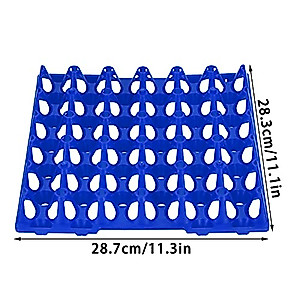 Egg Storage Tray, 30 Cell Egg Crates Plastic Reusable Stackable 5PCS for Hennery for Farm(blue)
