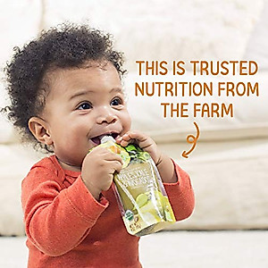 Happy Baby Organics Clearly Crafted Stage 2 Baby Food, Bananas, Raspberries & Oats, 4 Ounce Pouch (Pack of 16) packaging may vary