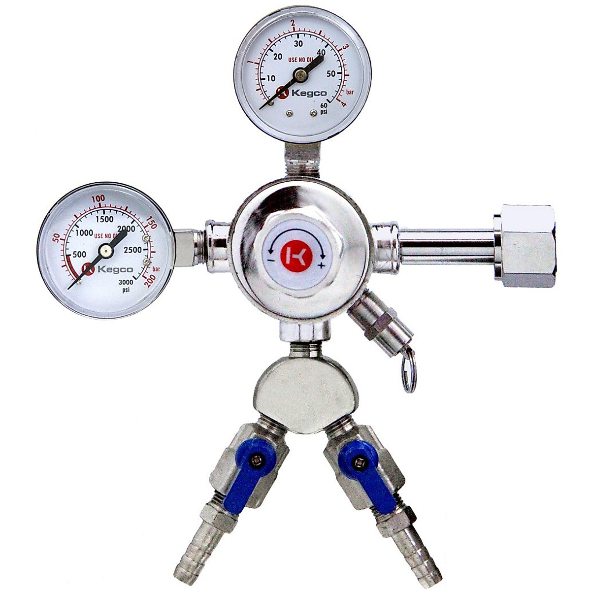 Kegco BF 2STCK-5T Conversion Kit, 2 Faucet with Tank, Standard