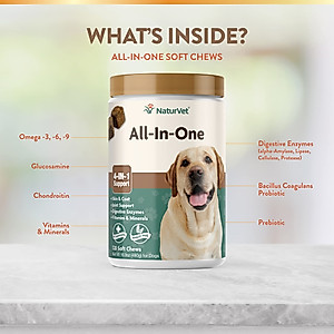 NaturVet All-in-One Dog Supplement - for Joint Support, Digestion, Skin, Coat Care – 120 Soft Chews & No Scoot for Dogs - 120 Soft Chews - Supports Healthy Anal Gland & Bowel Function