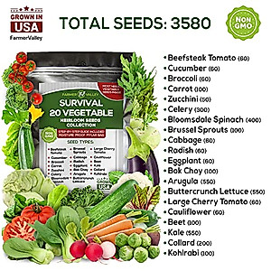 20 Heirloom Vegetable Seeds for Planting - 100% Non GMO - Most Popular Garden Vegetable Seeds Variety Pack - Cucumber, Carrot, Broccoli, Radish, Kale, Zucchini, Cabbage, Beet, Arugula, Celery and More