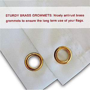 Froiny Flagnshow Kinokokingdom Dreamsmp Flag and Banners 60 * 90cm Ft Dream SMP Kinoko Kingdom Flags with Grommets White One Size