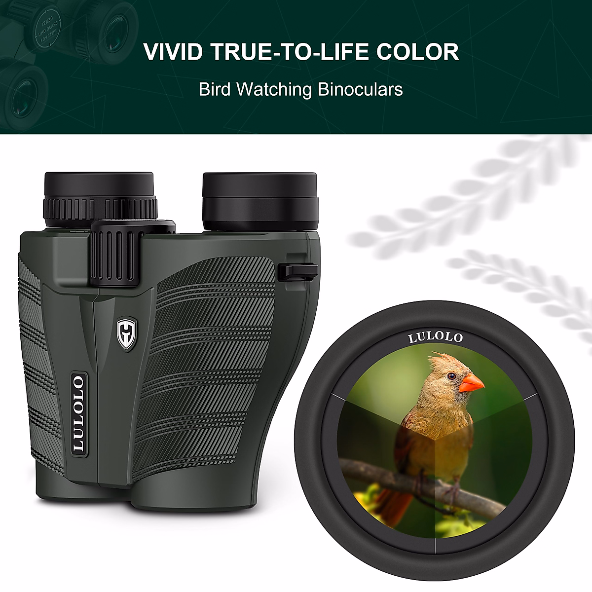 12x30 Compact HD Binoculars for Adults and Kids High Powered - Large View Binoculars with Clear Low Light Vision - Super Bright Lightweight & Waterproof Binocular for Bird Watching Travel Hunting