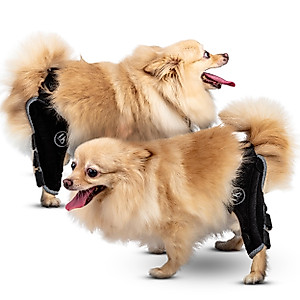 LA KALBA Dog Knee Brace for Torn Acl Hind Leg - Neoprene Dog Leg Braces for Back Leg with Aluminium Splints, ACL Knee Brace for Dogs with Reflective Trims (Left Leg - Small)