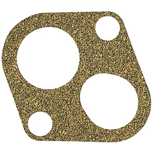 Pentair Gasket