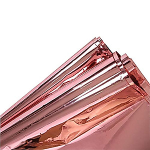NIWWIN 2Pack Gold Foil Metallic Tinsel Tablecloth Table Cover Shiny Plastic Waterproof Tablecloth Table Cloth Party Tablecovers for Rose Gold Party Table Decoration (Gold)