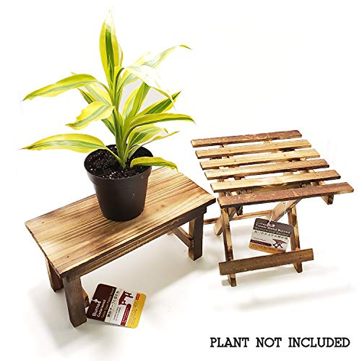 Burned Cedar Wood Bonsai Tree, Flower and Plant Stands Bundle